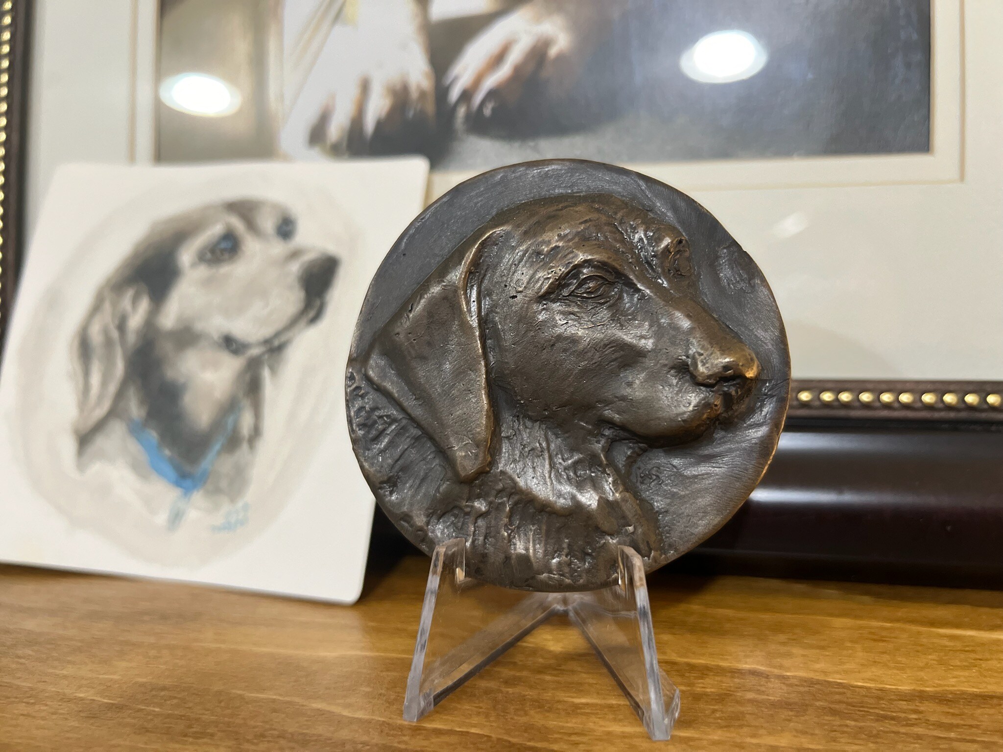 Collecting Friends: Collecting Coins with Cub Scouts