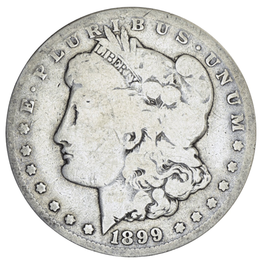 Understanding Coin Grading Basics