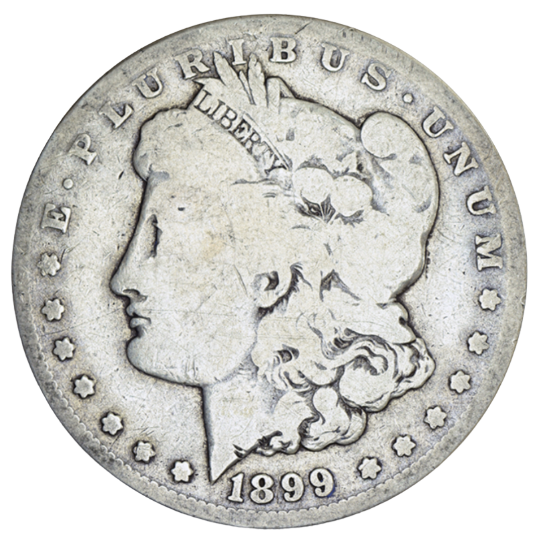 Understanding Coin Grading Basics