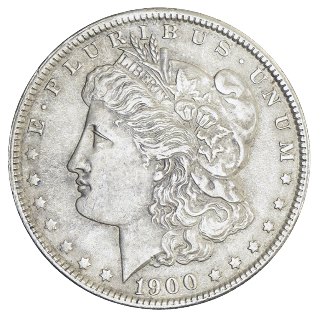 Understanding Coin Grading Basics